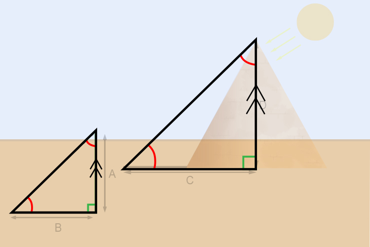 Thales, the Greek mathematician saw the parallel lines