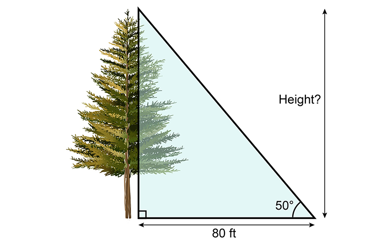 Practical examples of where trigonometry can be used