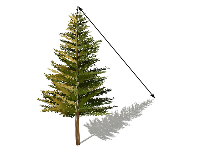 Practical examples of where trigonometry can be used