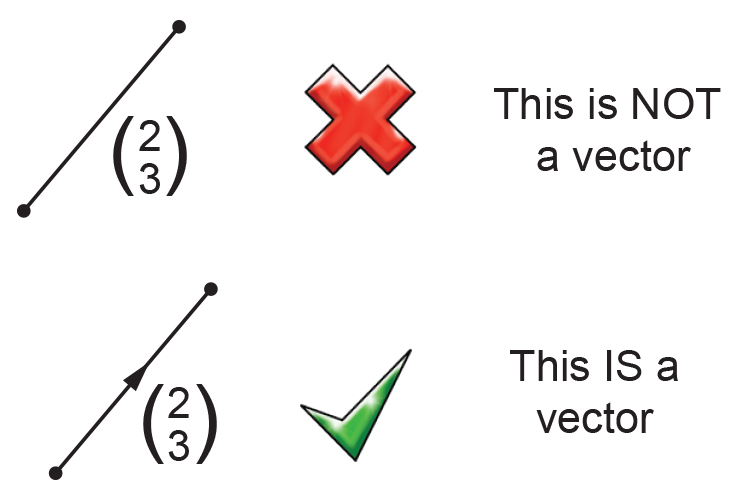 Only lines with an arrow are vectors signifying direction