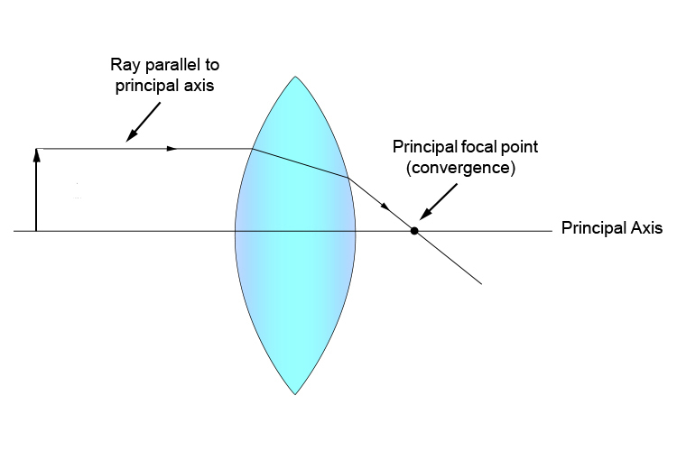 Which is the principal focal (convergence) point?