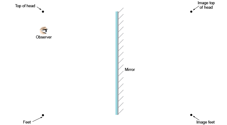 Shortest mirror to see full length of your body