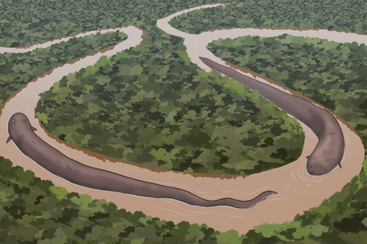 ampere - Mammoth Memory definition - remember meaning