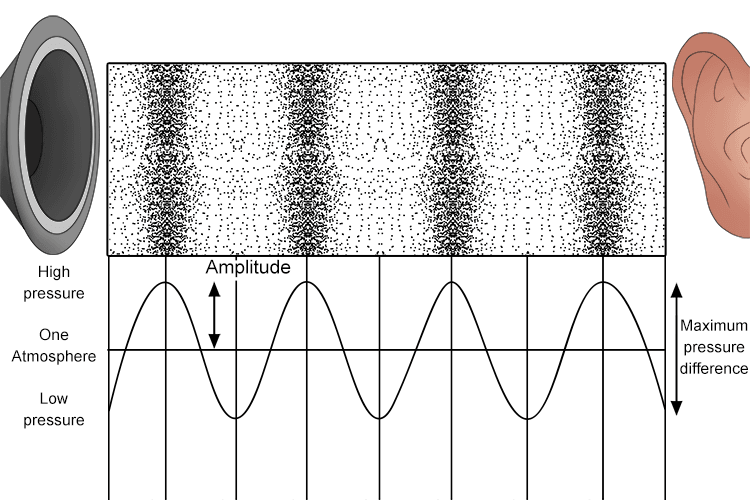amplitude (longitudinal wave) Mammoth Memory definition