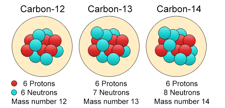 isotopes - Mammoth Memory definition - remember meaning