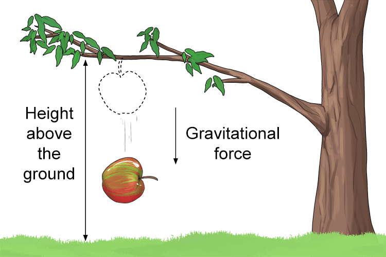 physical potential energy - Mammoth Memory definition