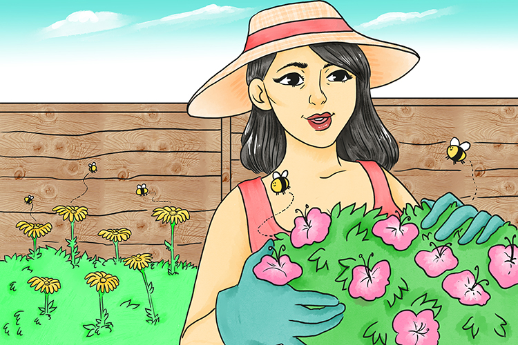 European Spanish Words - Jardin - Mammoth Memory