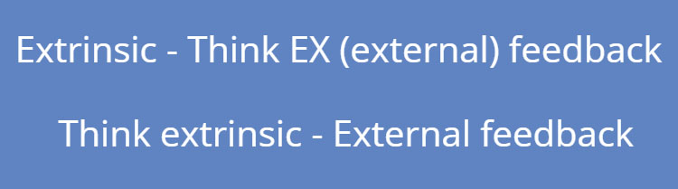 Extrinsic (Feedback) - Mammoth Memory definition - remember meaning