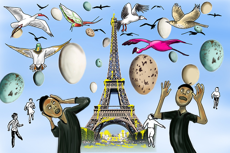 Animal species described as oviparous lay eggs