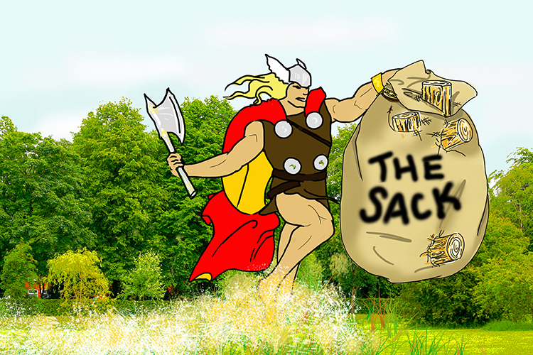 The sacrum is a large triangular bone of fused vertebrae